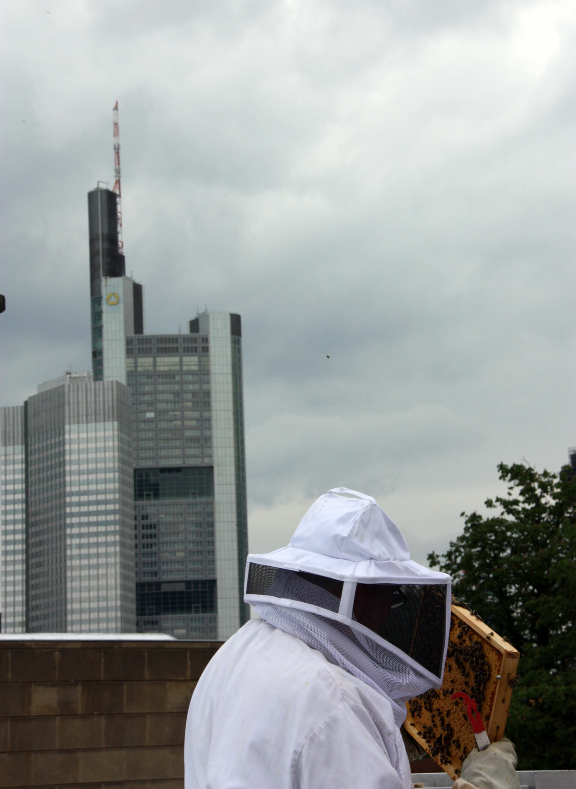 Schwärmer­eien im Städel | Städel Stories